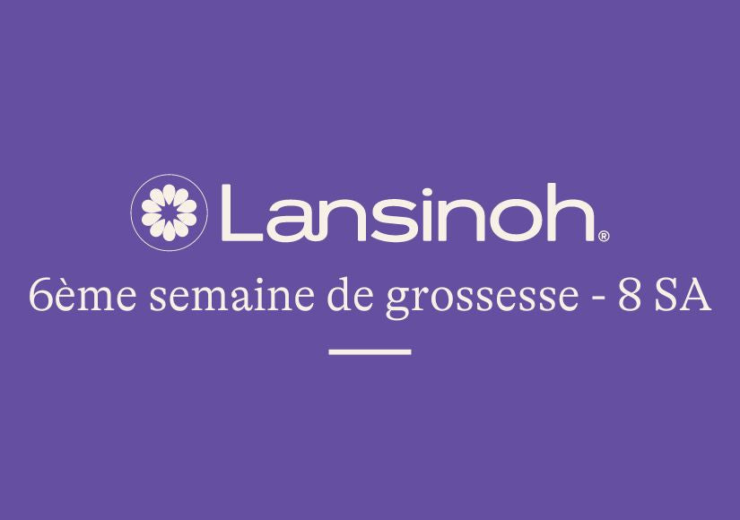 6e semaine de grossesse (8SA) – lansinoh-fr