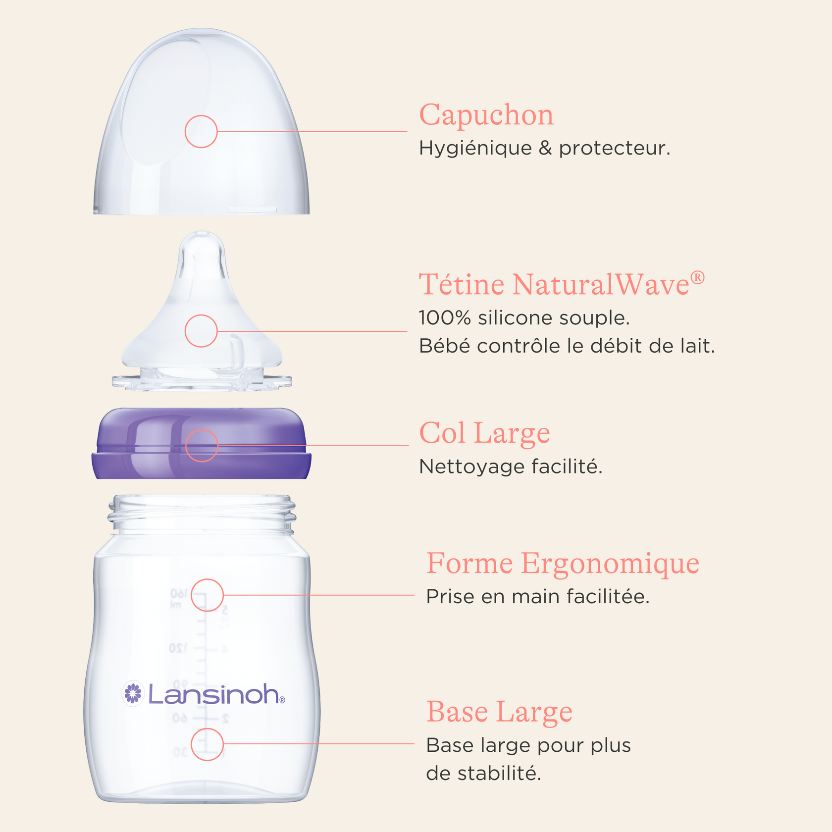 Biberons avec tétine Natural Wave® spécial allaitement | Lansinoh ...