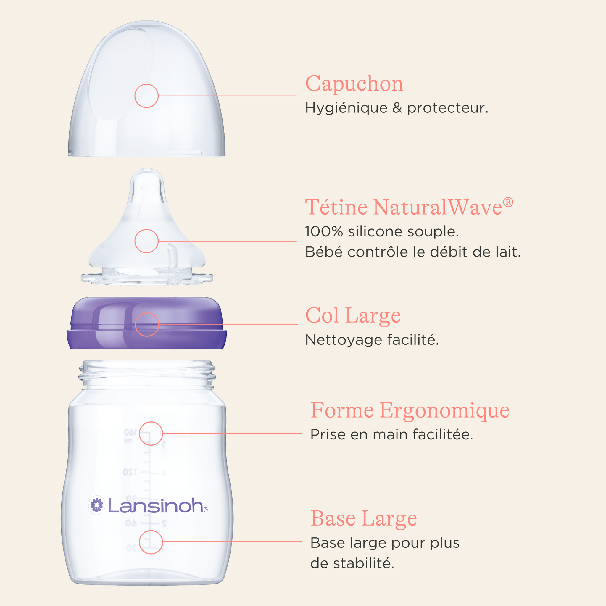 Biberons avec tétine Natural Wave® spécial allaitement | Lansinoh ...